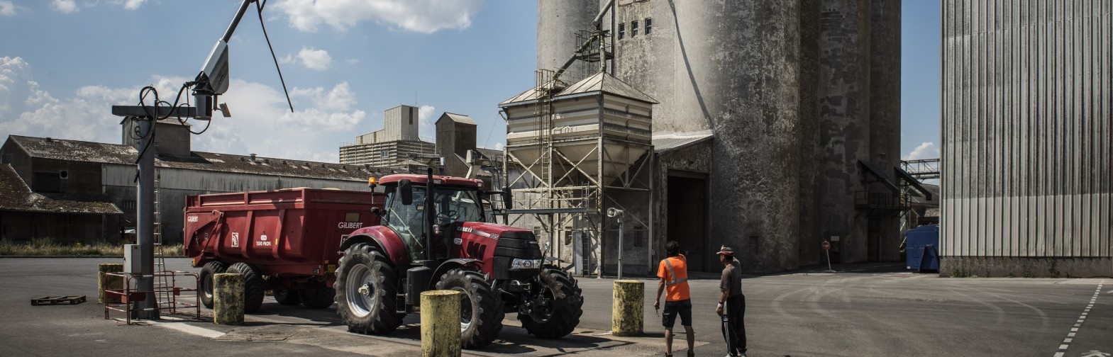 Emploi Groupe Scael - Agent de Collecte - MOISSON DES MAÏS ET TOURNESOLS 2023 H/F CDD, 1-2 mois